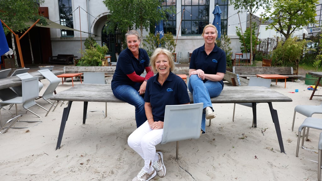 World Ocean Day Huizen: proefduik en zwemmen met zeemeerminnen ...